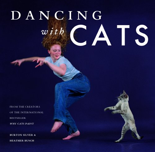 “Dancing with Cats” Book Reviewed | Thatsweetgift