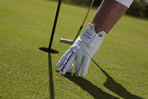 Nice Shot Golf Glove - Perfect Gift Idea for Pros | ThatSweetGift